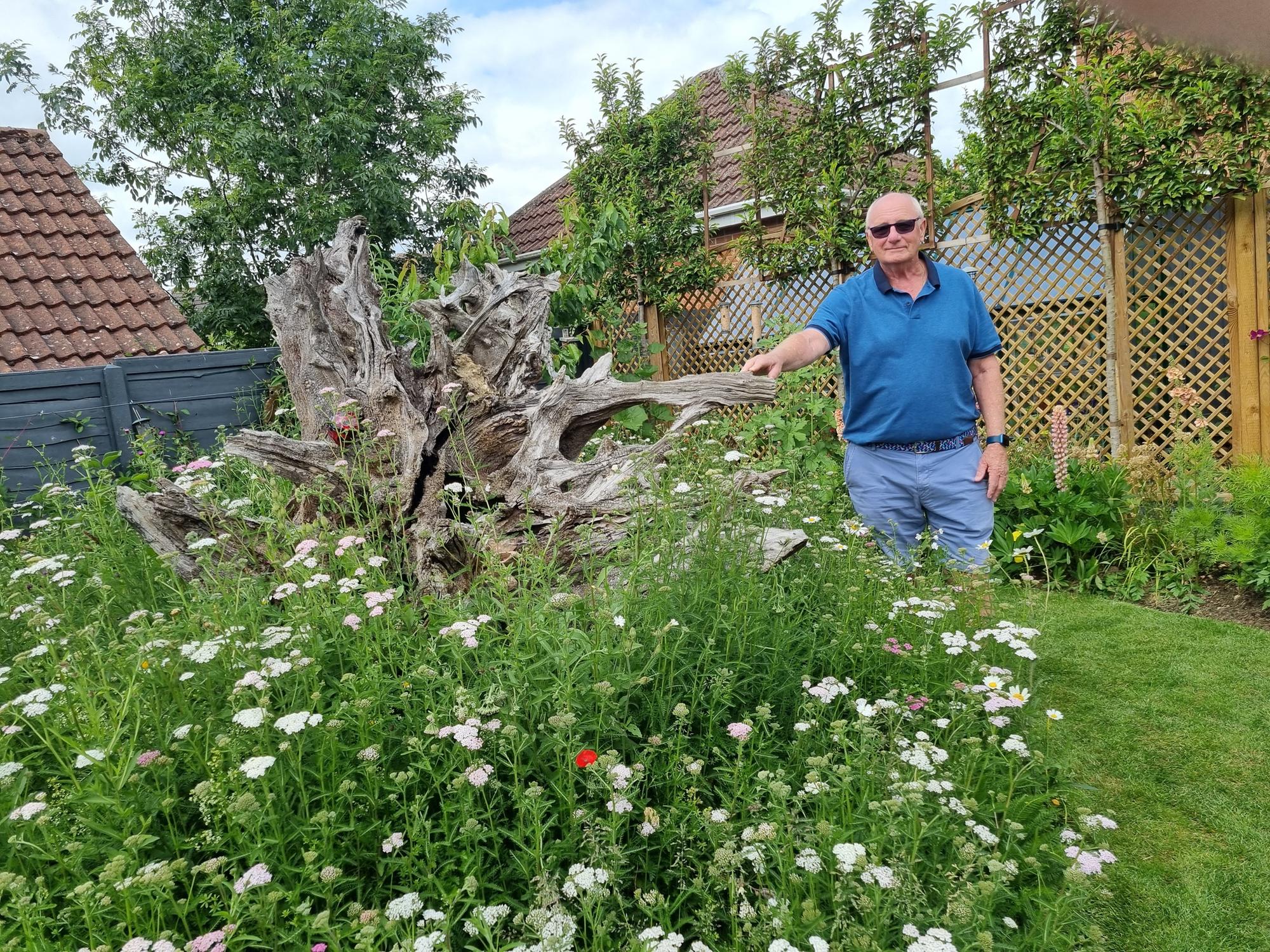 Human remains of 'Colin' are hidden highlight of Higham Ferrers Tourism ...