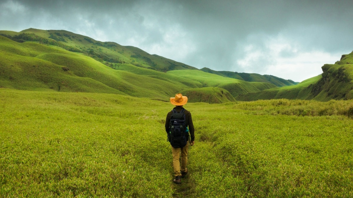 Shorter trips, why-cations: New survey shows how Gen Z travels differently