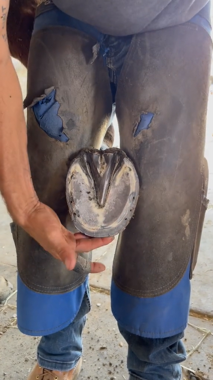 Watch this farrier turn hooves into perfection