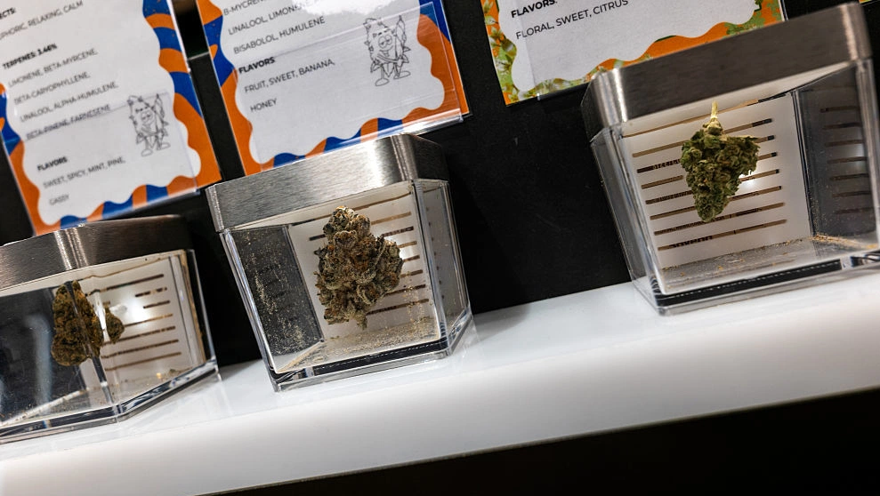 TSA updates rules for flying with medical marijuana