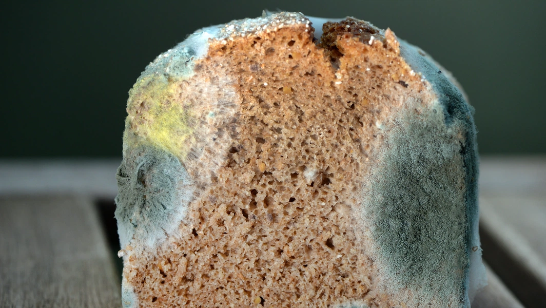 How to store and reuse bread effectively