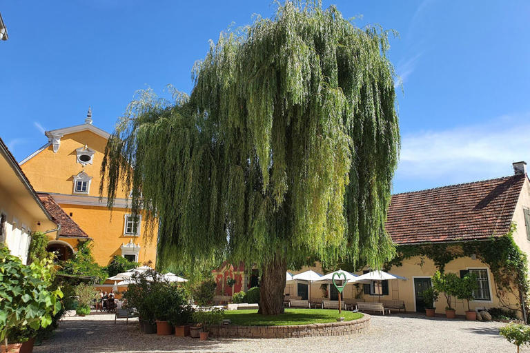Umstrittener Investor und Pleitier Hans Kilger will im Schloss Gamlitz ...