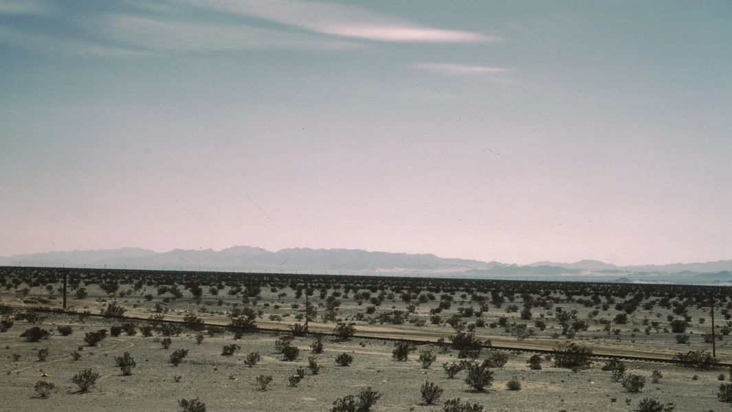 Wonder Valley’s history, challenges, and cultural life