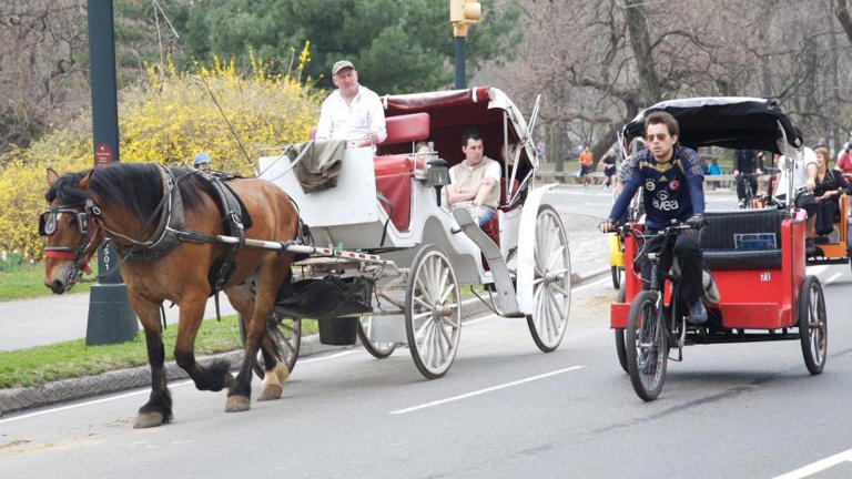 Teenager dies in horse-drawn carriage accident in New York