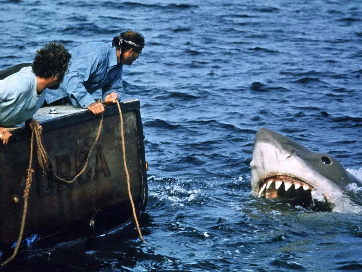 Jaws: 5 big differences between the book and the movie