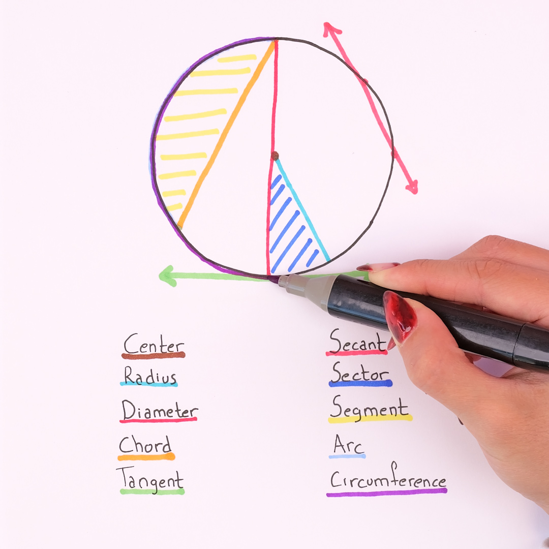 Breaking down the circle parts you need to know ⚪
