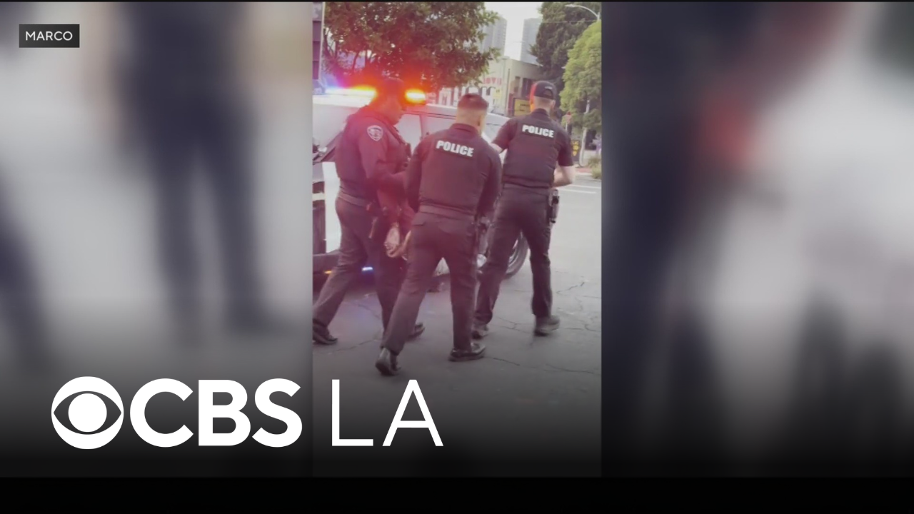 Carjacking suspect allegedly targeted pedestrians during Culver City ...