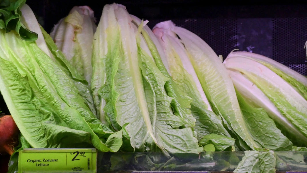 Tips to keep bagged lettuce fresh longer
