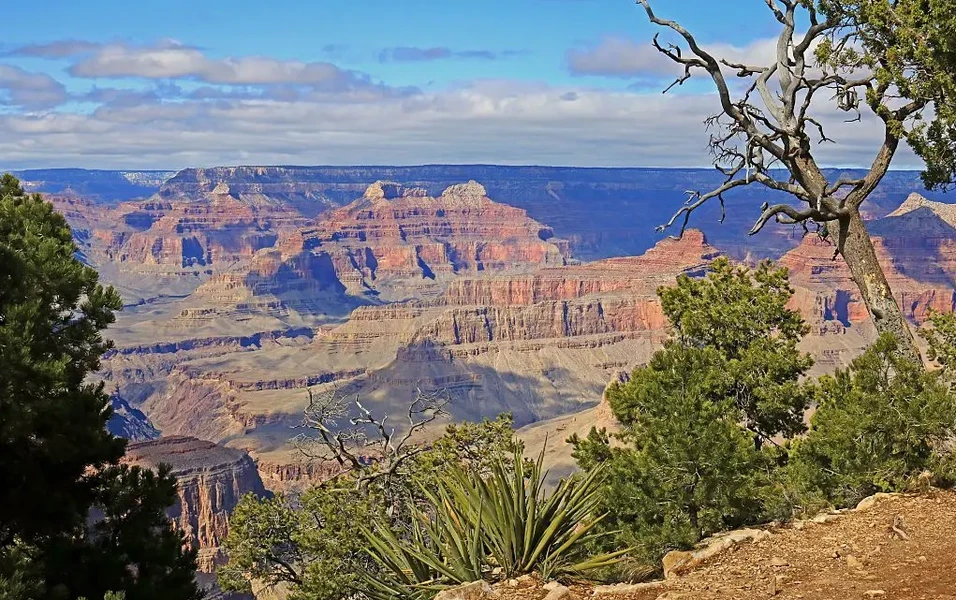 Williams’ lower housing costs boost Grand Canyon retirement budgets
