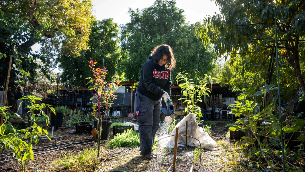 How to start and sustain a thriving urban garden