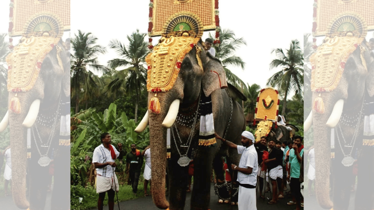 Kerala’s tallest elephant in lengthy custody battle: How ownership ...
