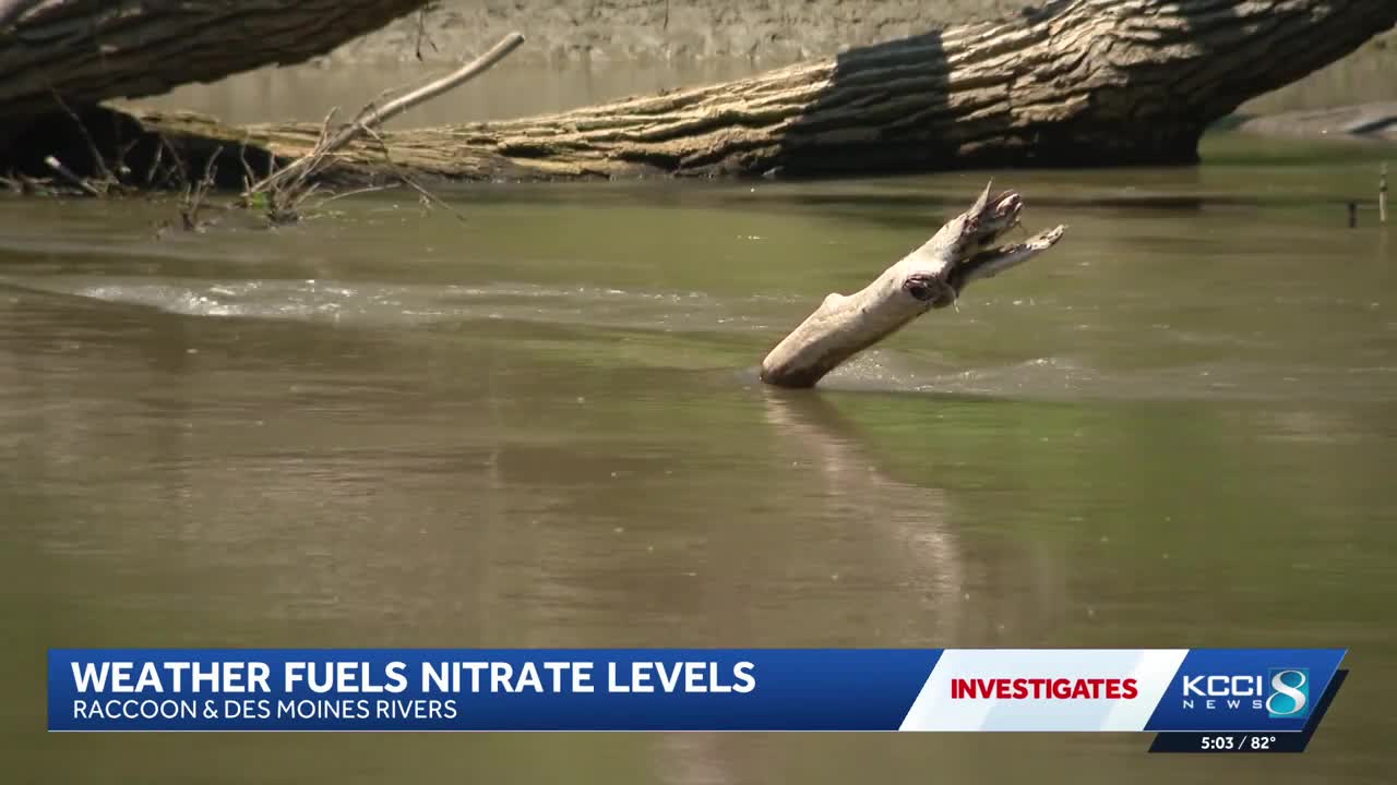 How does recent rainfall impact nitrate levels in Iowa's water supply?
