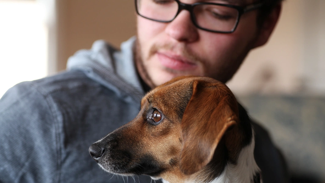 9 signs your dog feels safe and secure