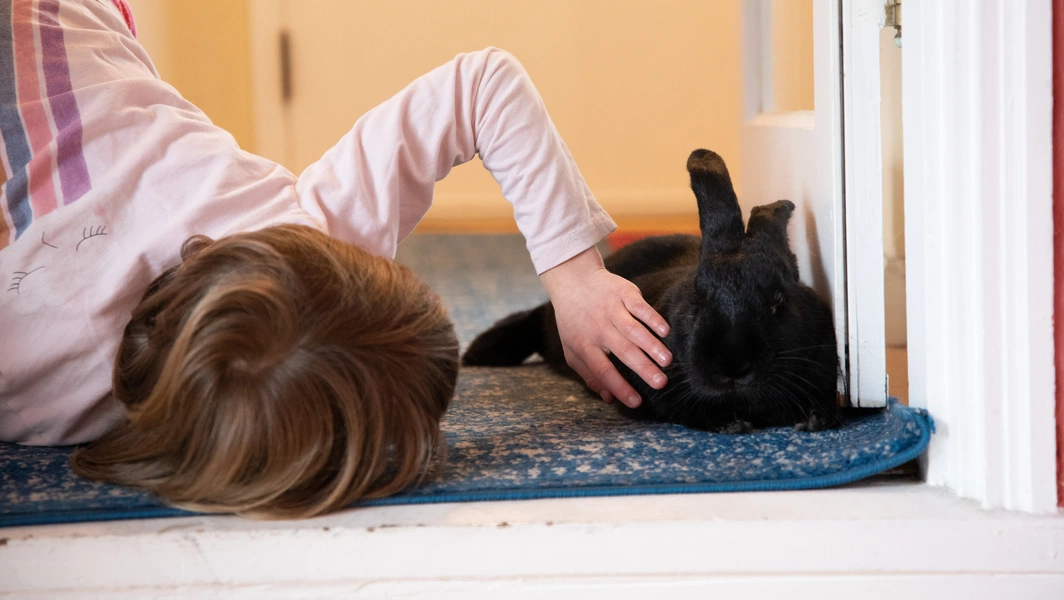 Caring for rabbits the right way