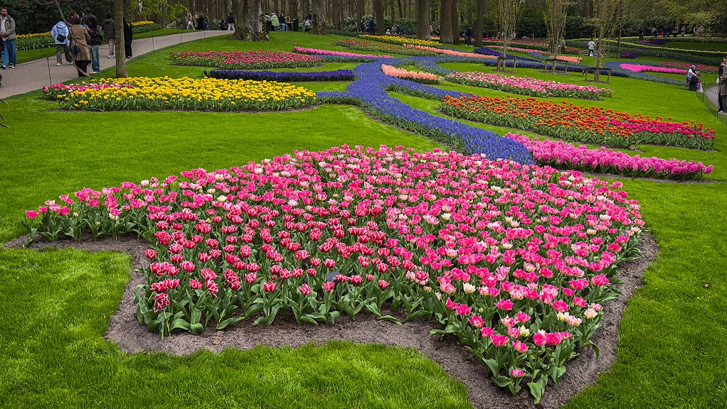 15 stunning flowers and their cultural meanings