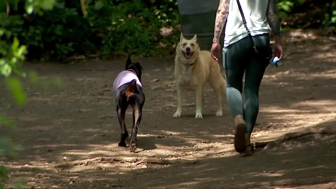 Minneapolis Parks and Rec board votes to close Minnehaha off-leash dog ...