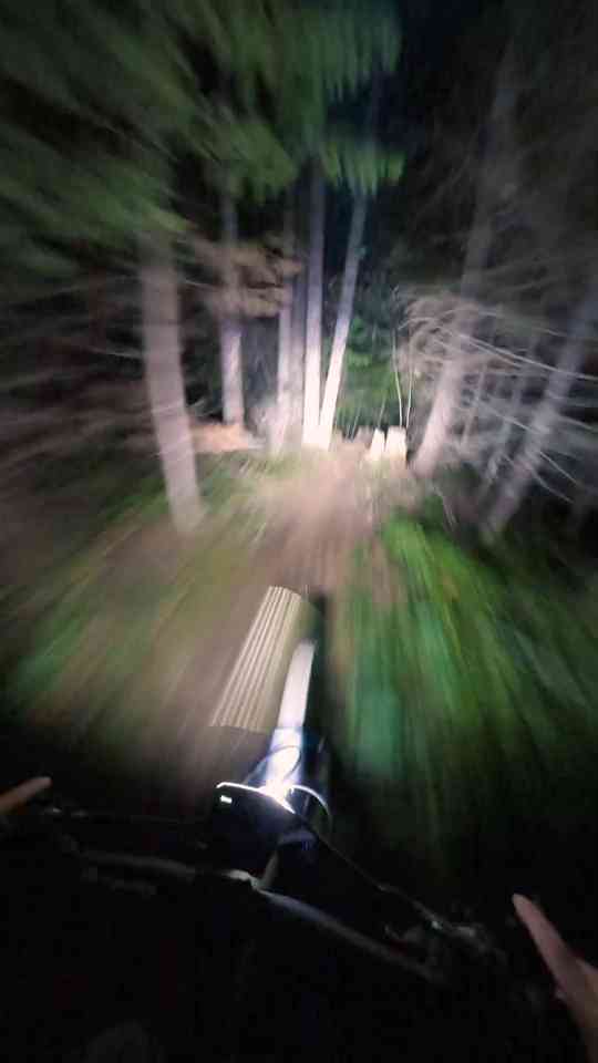 Night forest chase takes a terrifying unexpected turn
