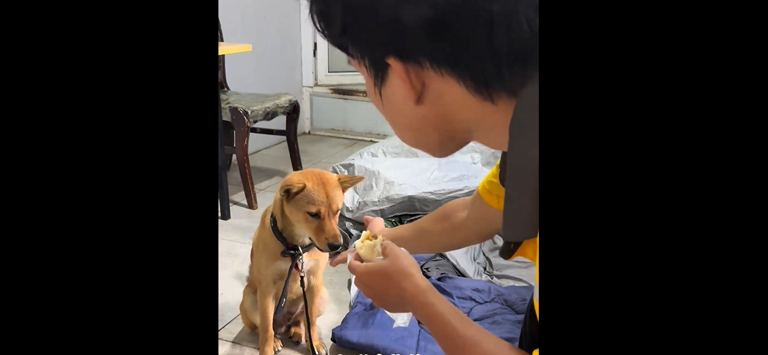 Teen delivery rider living under bridge with dog wins public aid for ...