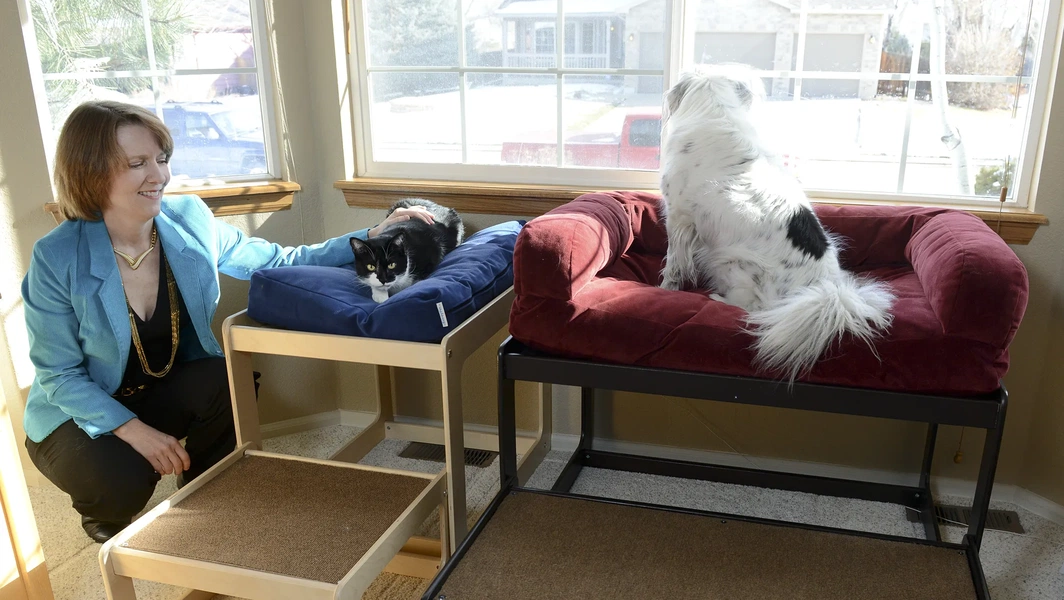 7 creative pet spaces for stylish homes