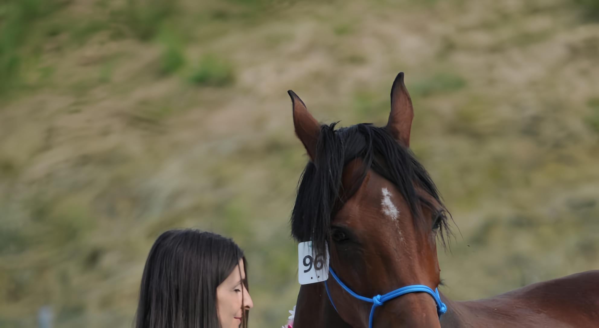 A Ramiseto prende il via la fiera del cavallo