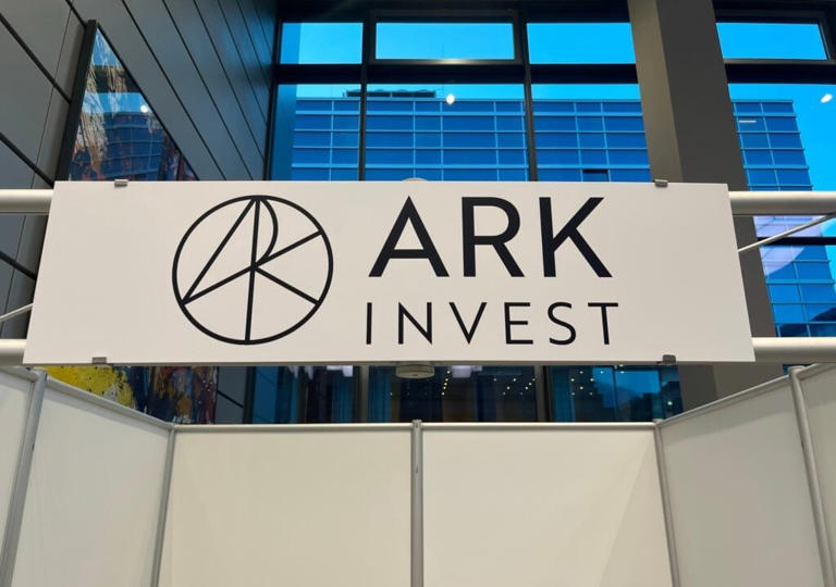 Cathie Wood's Ark Invest sells Robinhood stock into 8% rally, loads up ...