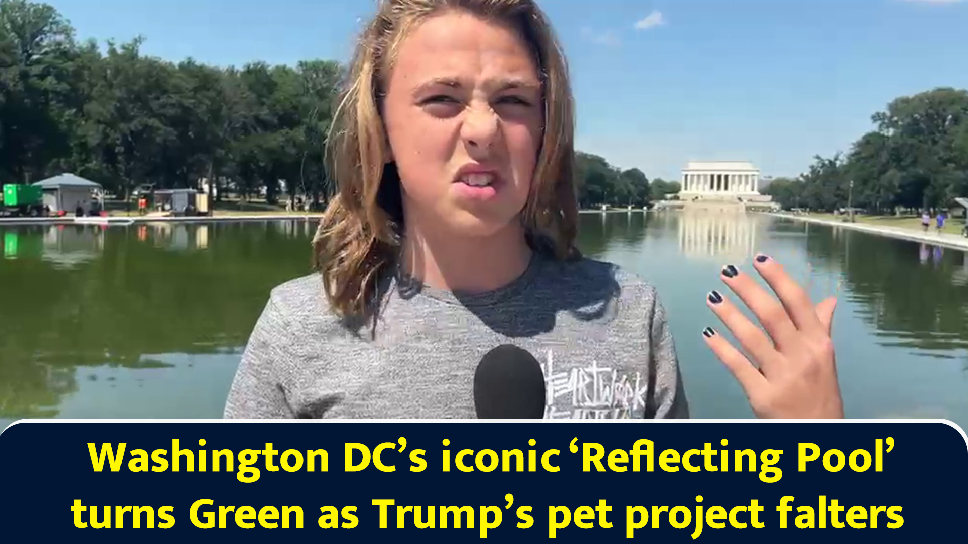 Washington DC’s iconic ‘Reflecting Pool’ turns green as Trump’s pet ...