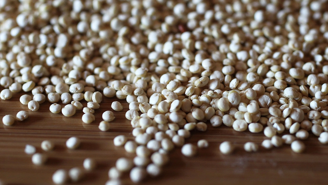 Quinoa recipes that fuel your day right