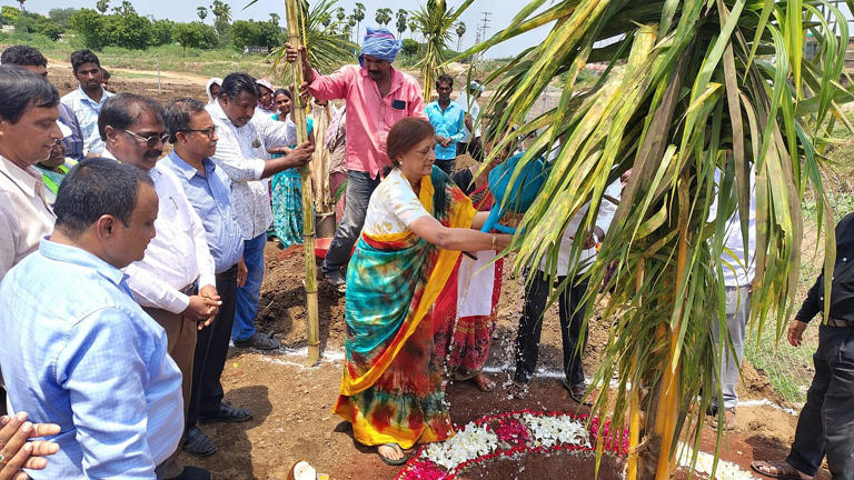 Amaravati Development Corporation to set up central nursery to raise ...