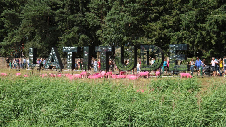 Six young poets picked to open Latitude Festival