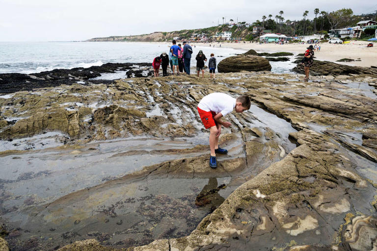 Ultra-rare Calif. beach cottages spared from coastal flooding for now