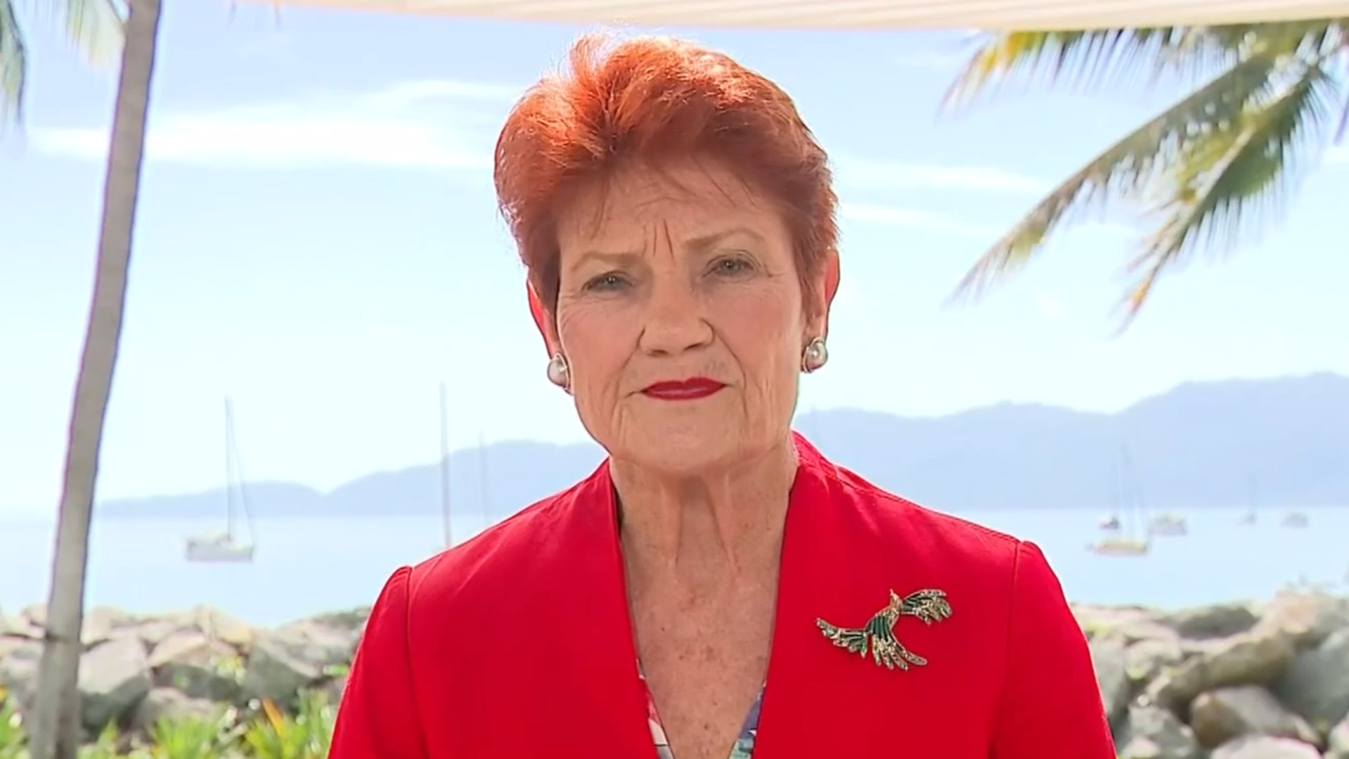 ‘Someone had access’: Pauline Hanson raises alarm over NPC security breach