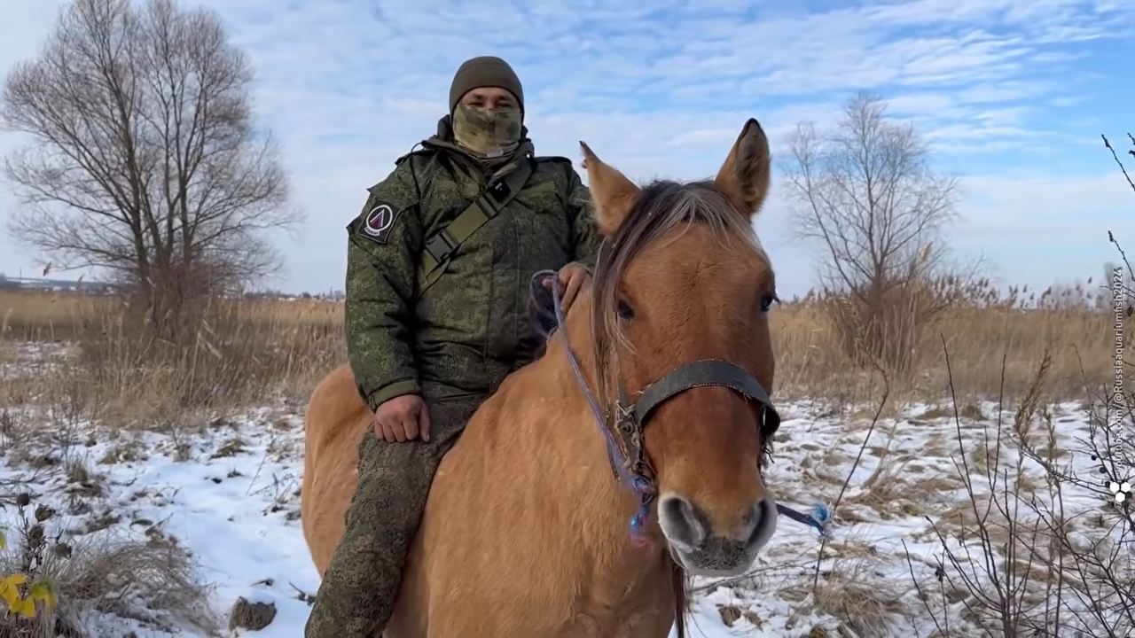 Watch how Ukrainian drones hunt Putin's cavalry on camera