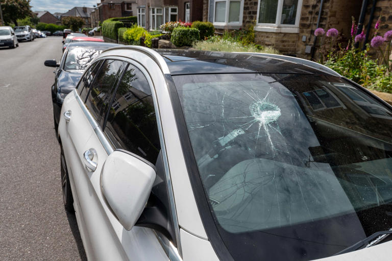 'Some bloke with a golf club smashed up my car' - Crookes residents ...