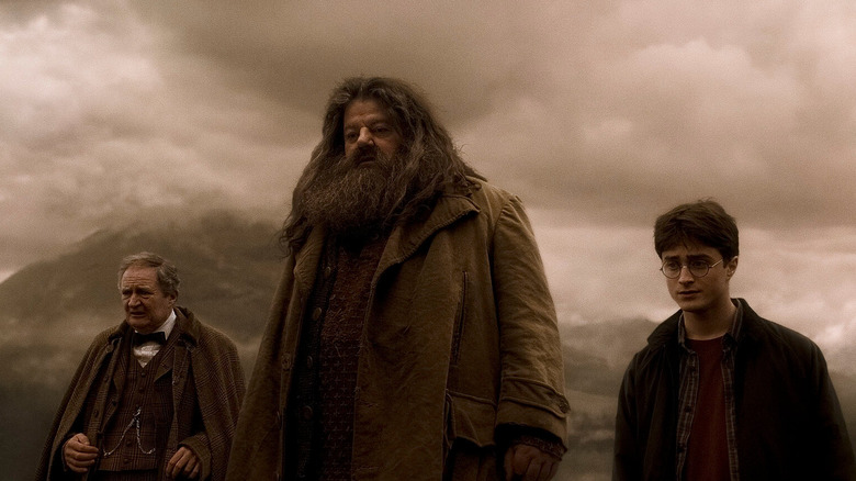 Was Harry Potter's Hagrid a Death Eater? A bonkers Reddit theory explained