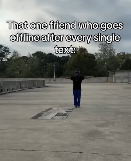 That one friend who goes offline after every single text 😐📴💀 "brb" but ...