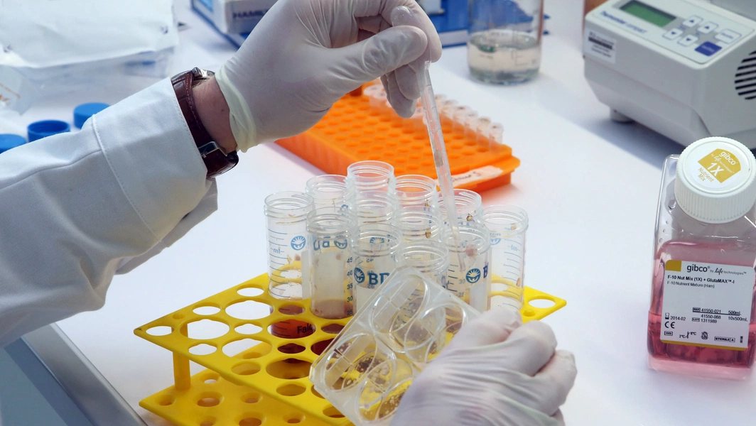 Decoding aging with the transcriptomic clock