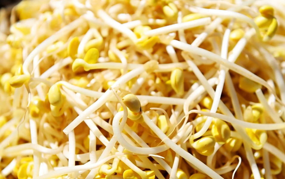 Protein-packed sprouts dishes for busy days