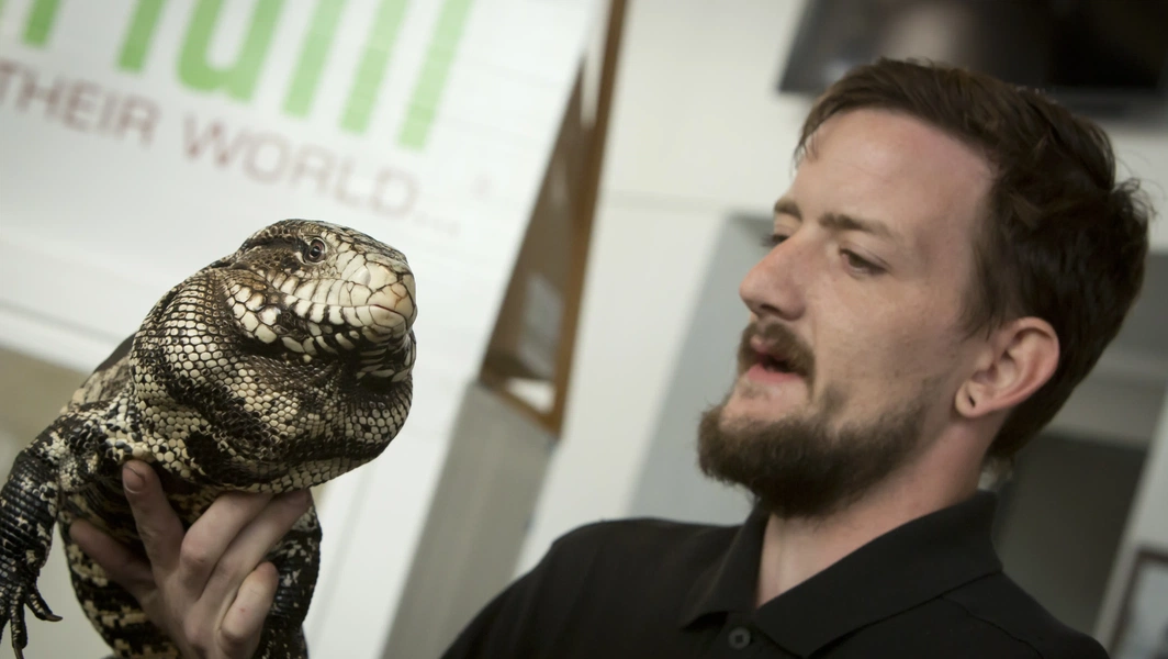Invasive Argentine tegus in the United States