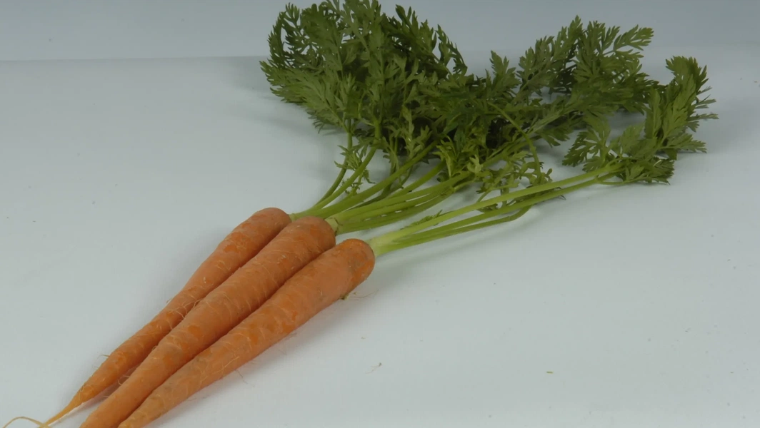 Daily carrot consumption: nutrients, benefits, and risks