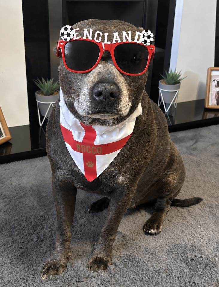 Weebles, dogs and garden parties - South Tyneside celebrates England ...