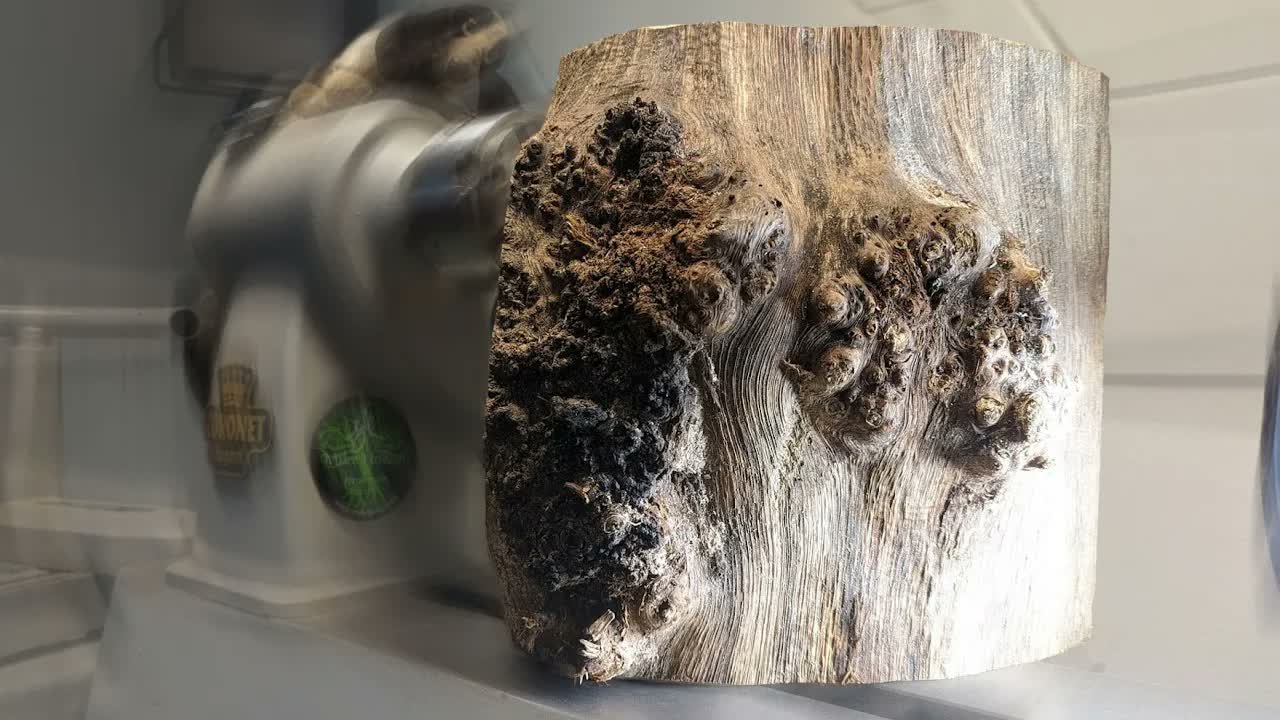 A massive oak burl fights back on the lathe