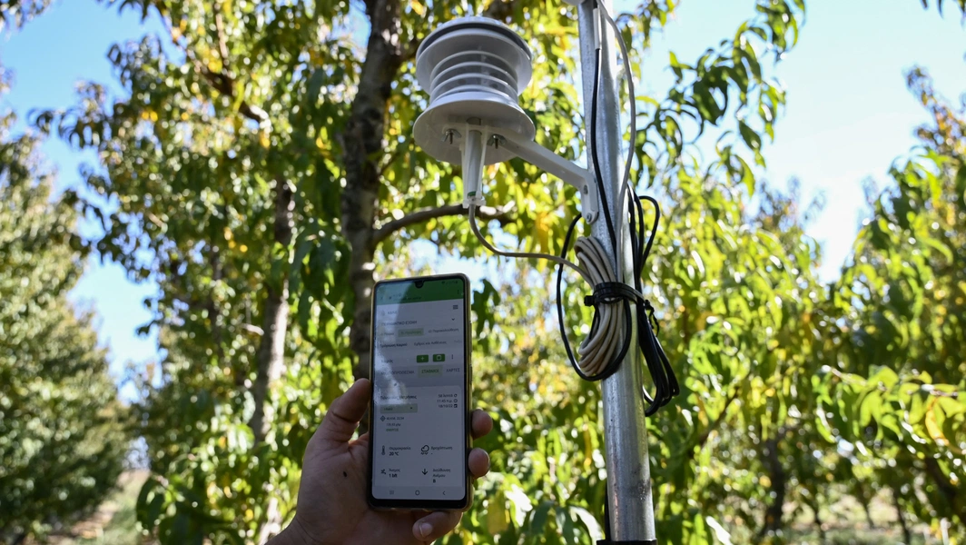 Comparing home weather stations and weather apps