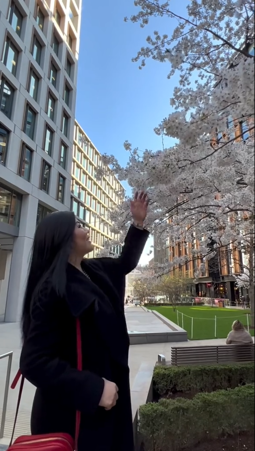A closer look at London’s stunning cherry blossoms