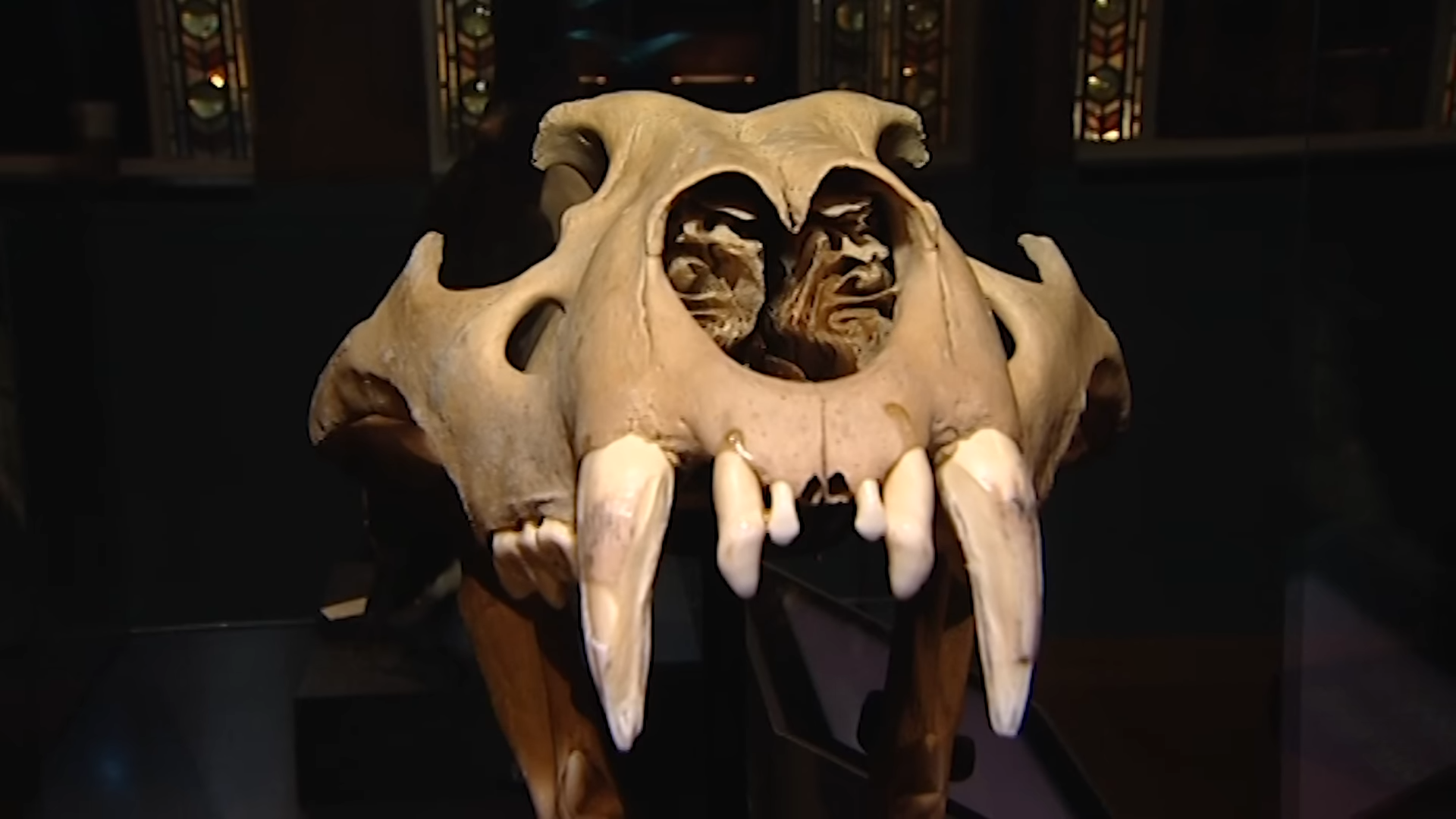 This animal has been gone for thousands of years... and scientists are ...