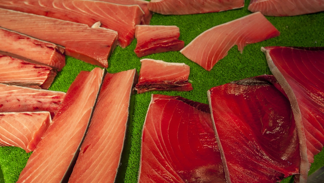 High-protein tuna lunches made simple
