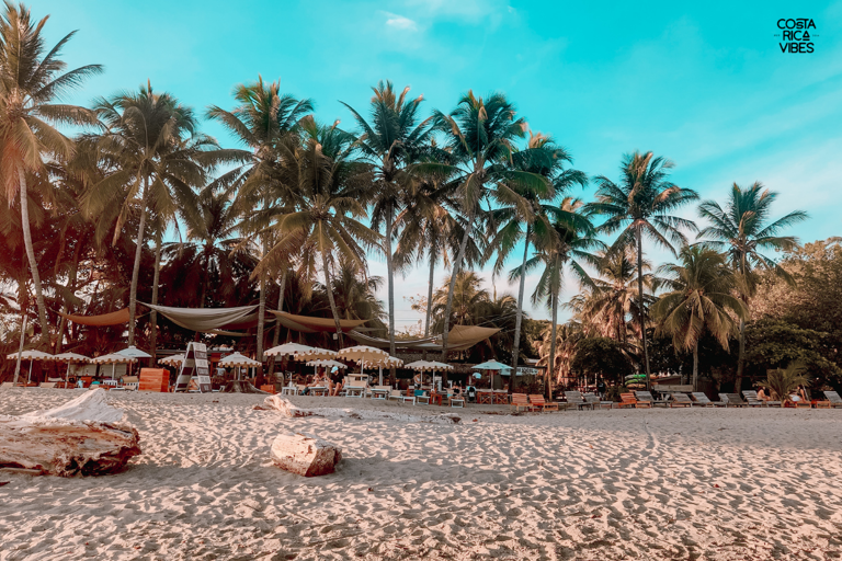 I’ve lived in Costa Rica since 2016 — here’s the month-by-month route I ...