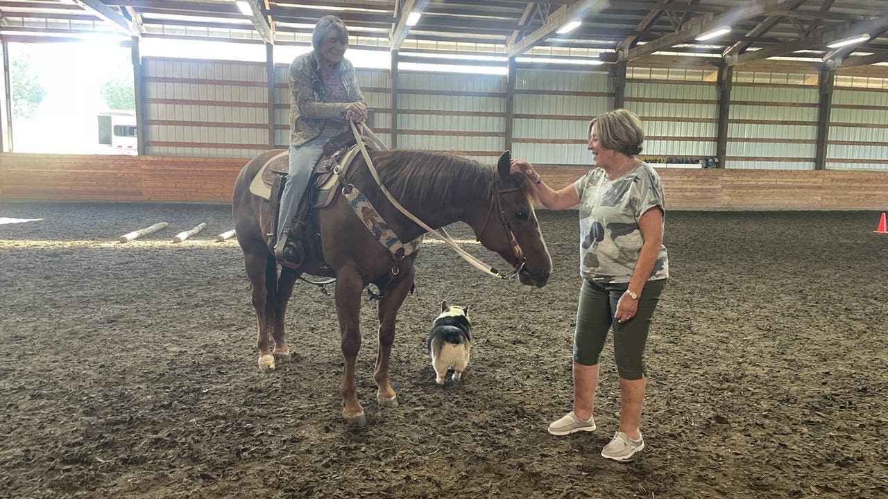 Woman charged with stealing 'Ruben the horse' in WA