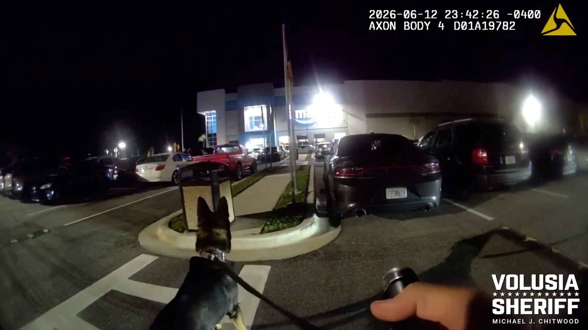 Police K-9 finds suspect hiding under vehicle after pursuit in Florida
