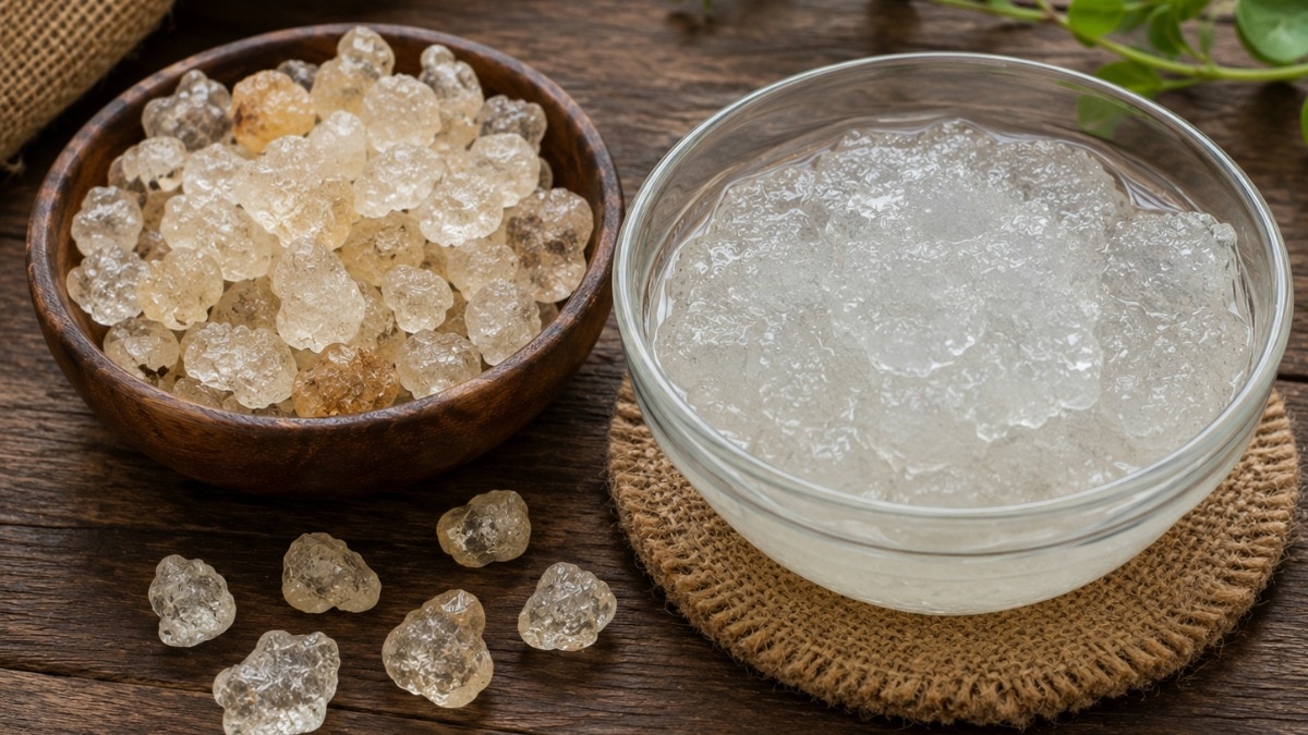 Can gond katira really strengthen bones? Doctors bust viral myth