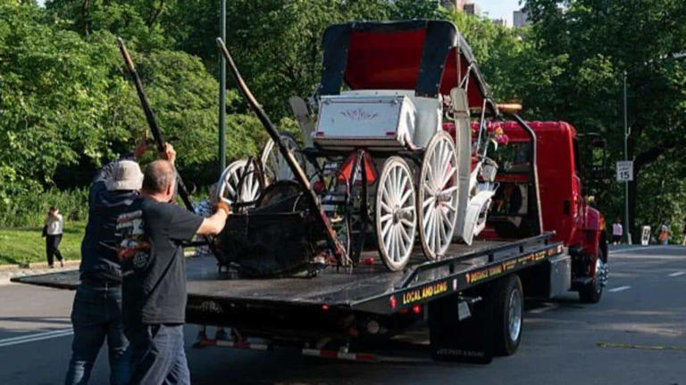 Dream trip turns tragic: Indian teen killed in horse carriage accident ...